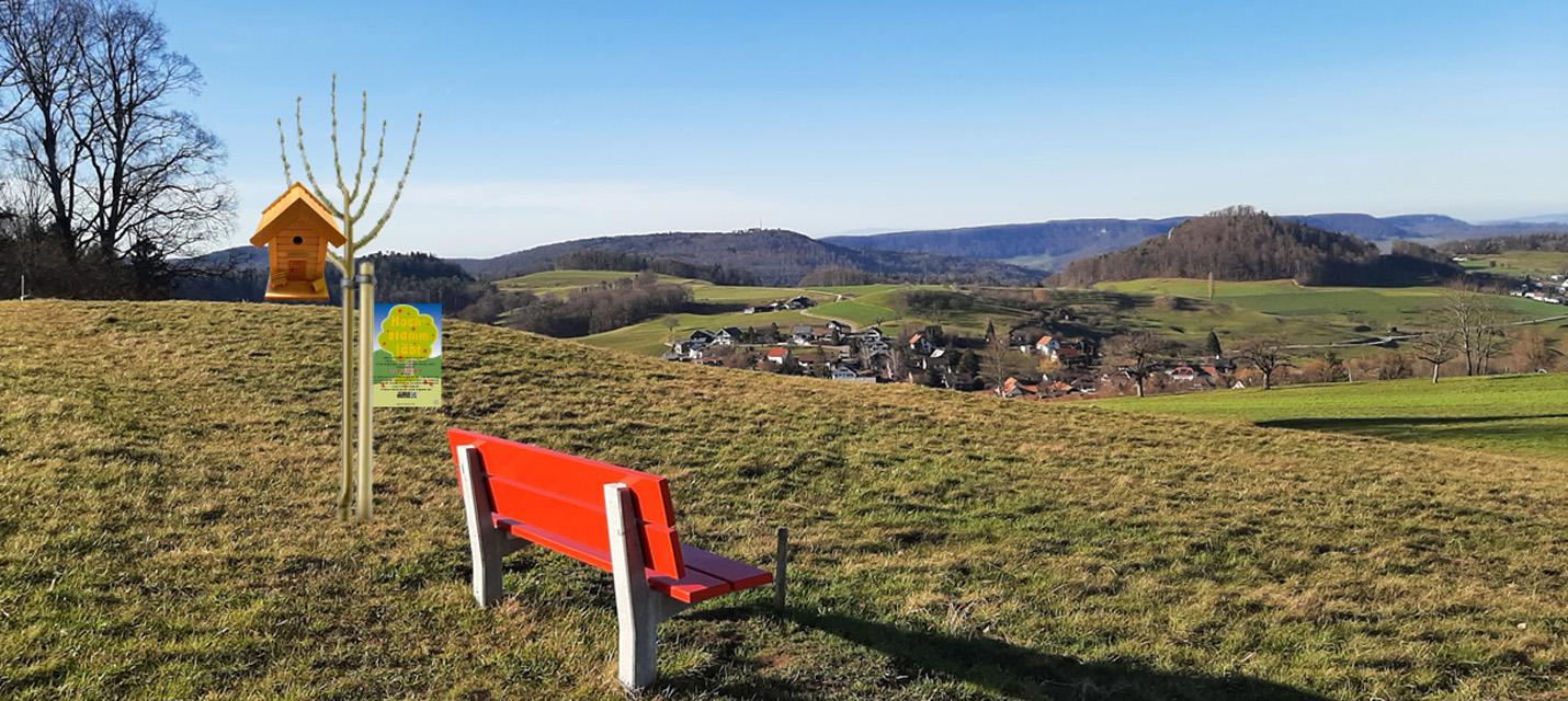 Monika Schweizer-Stampfli, Präsidentin seit 1992 | NVV Titterten